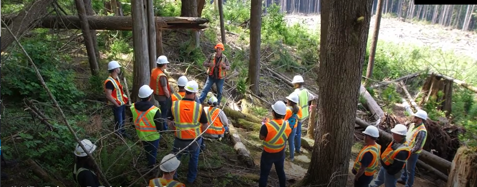 Custom Training Solutions - BCIT