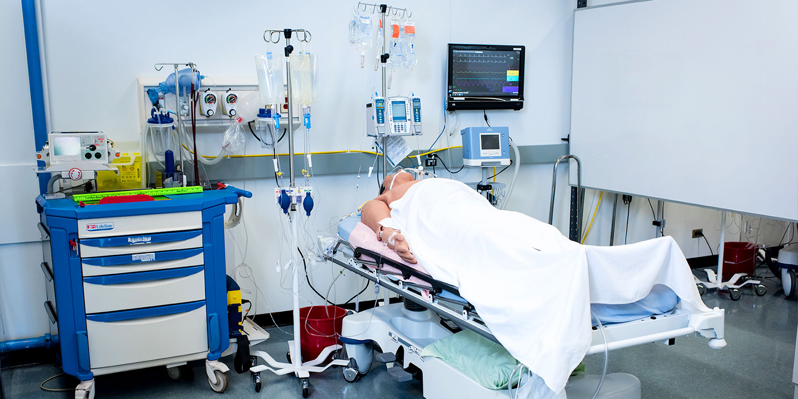 Nursing, Bachelor of Science in Nursing, Full-time (8875BSN) - BCIT