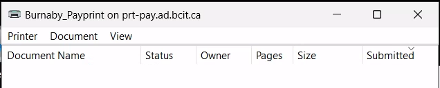 Using Apporto Virtual Desktops - BCIT