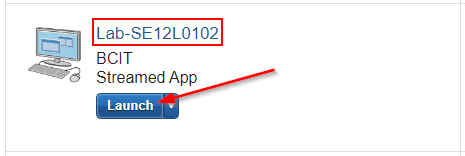 Using Apporto Virtual Desktops - BCIT